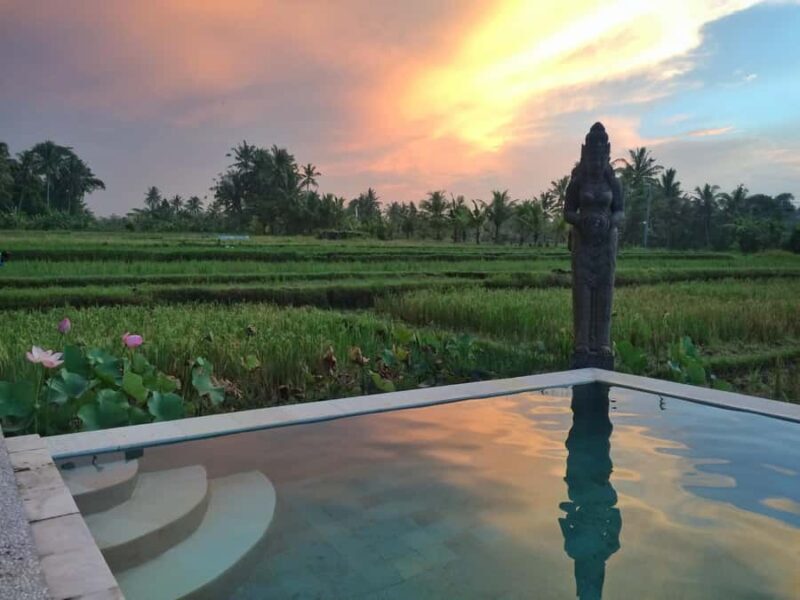Bali: 7 Day Solo Travelers Yoga Retreat In Ubud - Practical Details & Considerations