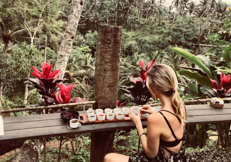 Bali: A Full-Day Tour to Goa Raja, Tibumana and Tukad Cepung - The Sum Up