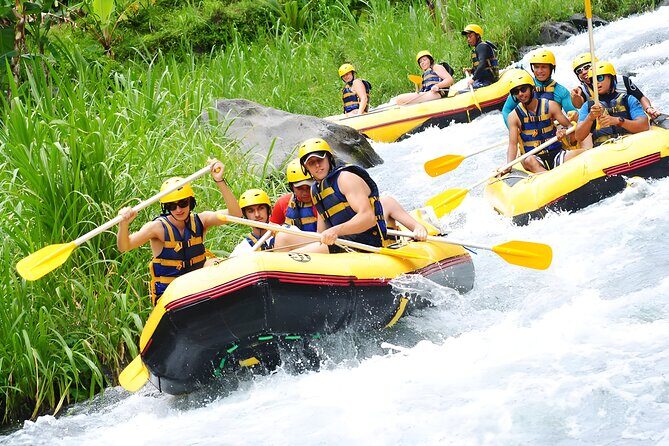 Bali Activity: Telaga Waja White Water River Rafting - Key Points