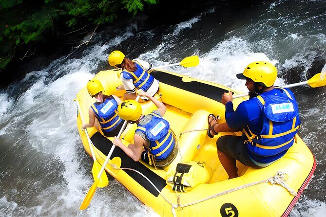 Bali Activity: Telaga Waja White Water River Rafting - Dining and Extras