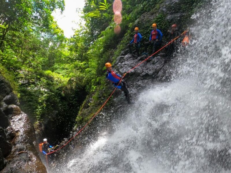 Bali: Alam Canyon The Natural Canyoning Adventure - Why this tour is a good deal