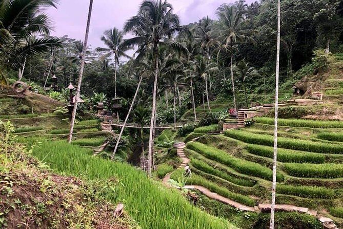 Bali : All inclusive Customize Trips - Who Will Love This Tour?