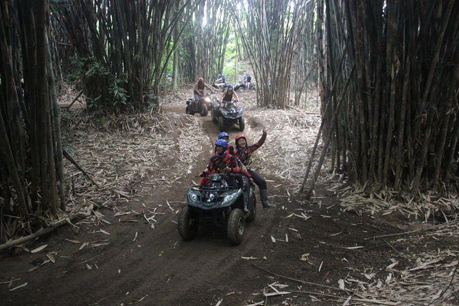 Bali All Inclusive : Tlaga Singha Infinity Pool & Atv Adventure - The Sum Up