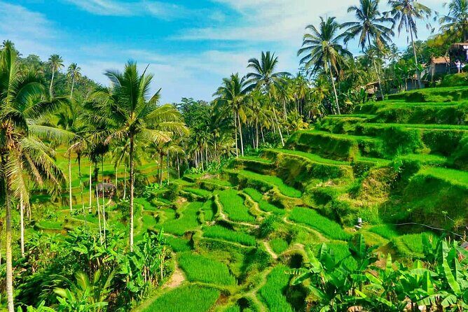 Bali All Inclusive Tour: Ubud - Tegalalang - Kintamani - Who Should Consider This Tour?