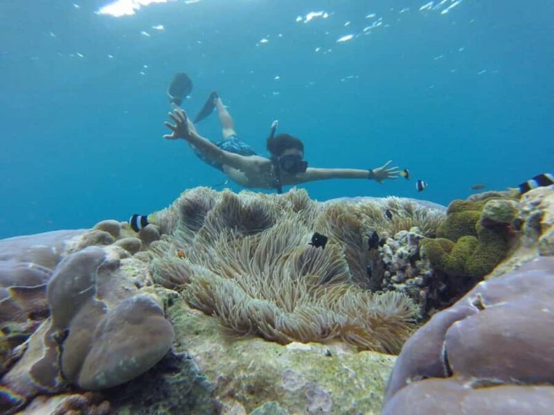 Bali: All-Inclusive Water Sports & Mangrove - Key Points