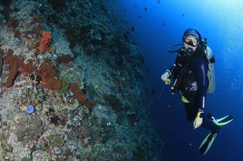 Bali/Amed: 2 Fun Dives for Certified Divers with Transfers - Authentic Experience and What You Should Know