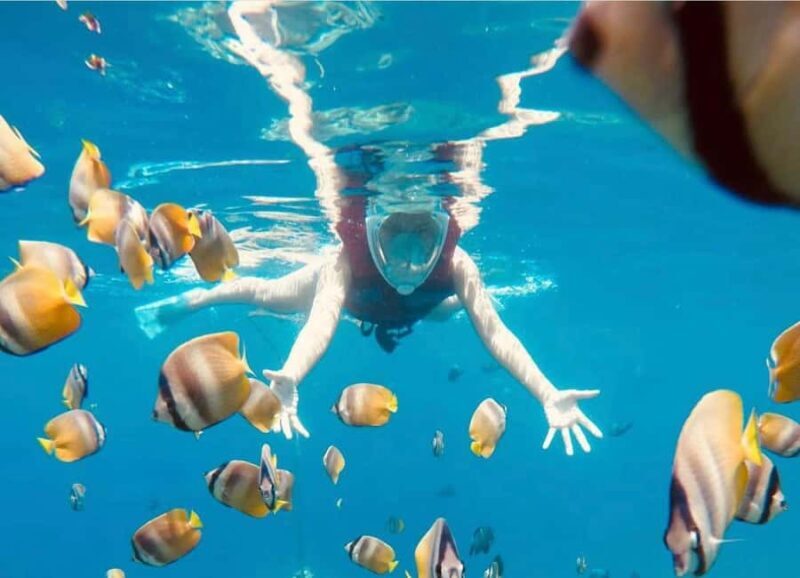 Bali: Amed, Jemeluk & Lipah Beach Snorkeling Adventure - An In-Depth Look at the Bali Snorkeling Tour