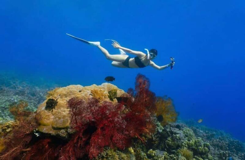 Bali/Amed: Underwater Temple Snorkeling Experience - Key Points