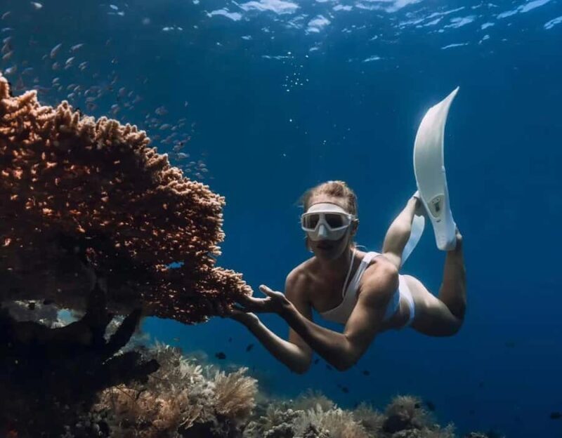 Bali/Amed: Underwater Temple Snorkeling Experience - An In-Depth Look at the Experience