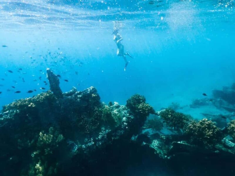 Bali/Amed: Underwater Temple Snorkeling Experience - The Sum Up — Is It Worth It?