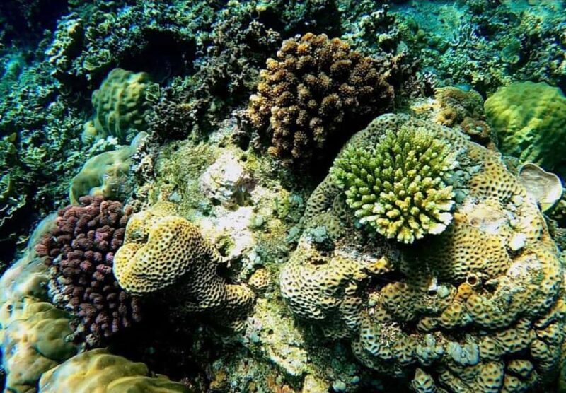 Bali/Amed: Underwater Temple Snorkeling Experience - FAQ