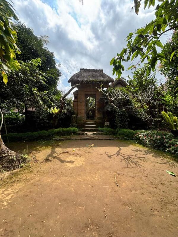 Bali: Ancient Balinese Houses and Mengening Temple Tour - A Detailed Look at the Tour Experience
