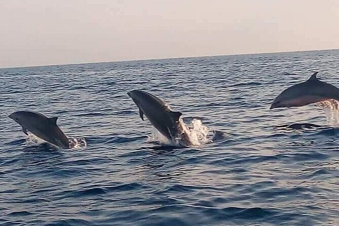 Bali and Lovina with Sunrise Dolphin Tour and Snorkeling - Key Points