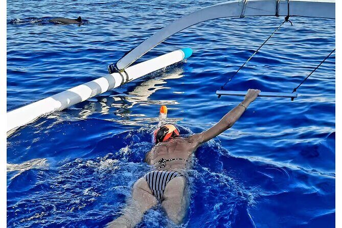 Bali and Lovina with Sunrise Dolphin Tour and Snorkeling - An In-Depth Look at the Lovina Sunrise Dolphin and Snorkeling Tour