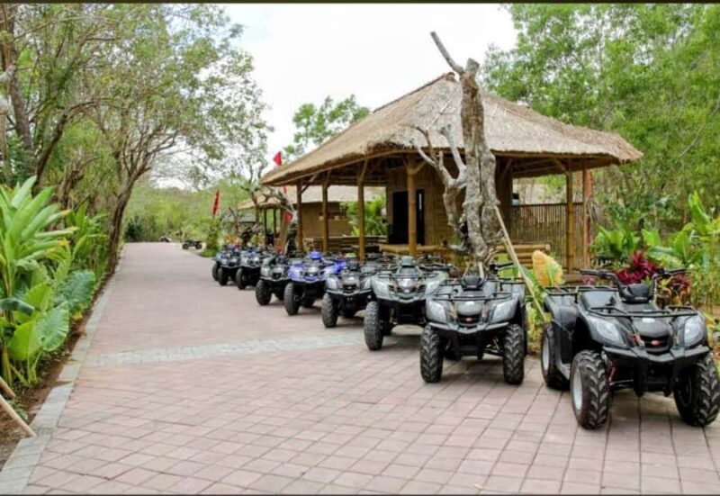 Bali: ATV Adventure, Beach Hopping, and Temple Tour - Who Will Love This Tour?