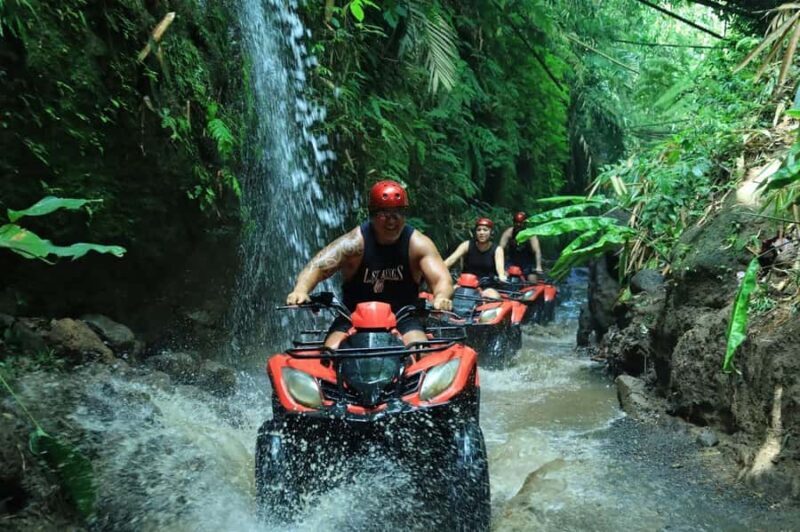 Bali: ATV Adventure Ride with Gourmet Lunch - The Sum Up