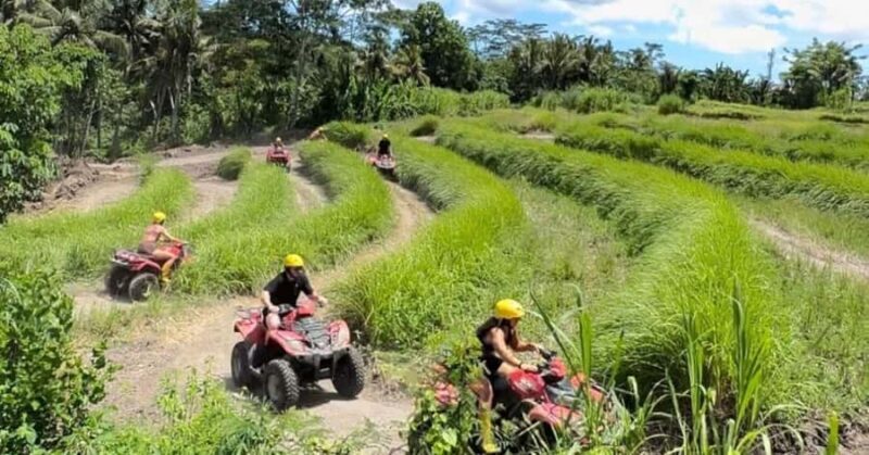 Bali : ATV and Tubing Adventure by Beji River Adventure - FAQ