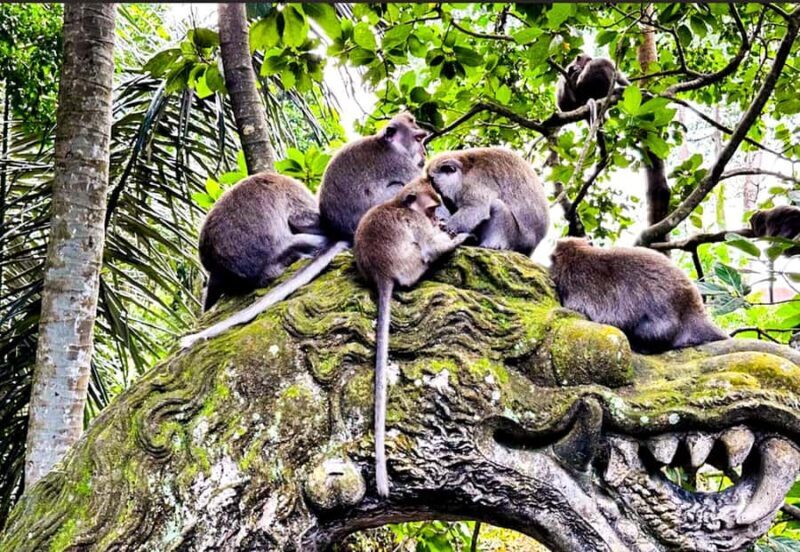 Bali: ATV, Coffee Plantation, Temple & Monkey Forest Tour - Experience Breakdown: What to Expect