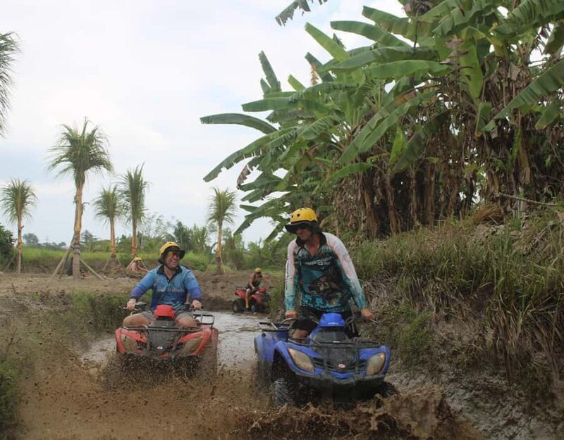 Bali: ATV Quad Bike Adventure 250cc or 300cc Engines in Ubud - Introduction