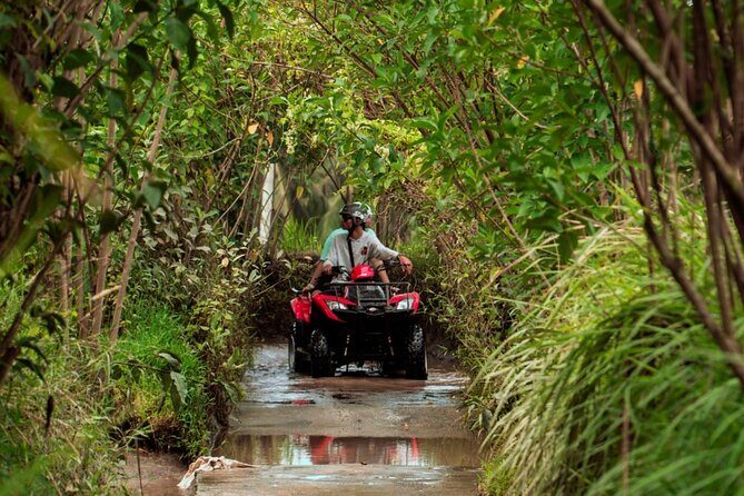 Bali ATV Quad Bike and Ayung Rafting with All Inclusive Tour - Lunch and Final Details