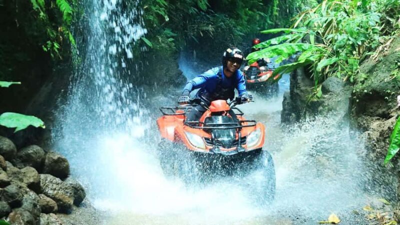 Bali: ATV Quad Bike, Monkey Forest, Jungle Swing with Lunch - An Action-Packed Day in Bali: What to Expect