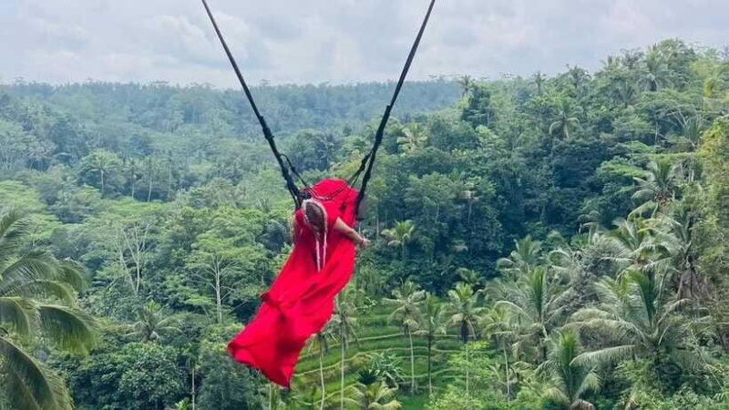 Bali: ATV Quad Bike, Monkey Forest, Jungle Swing with Lunch - Final Thoughts