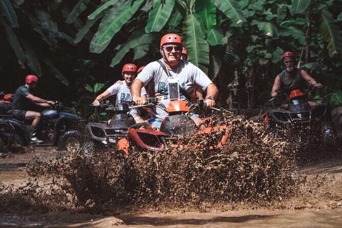Bali ATV Quad Bike Monkey Forest Jungle Swing with Lunch - Key Points