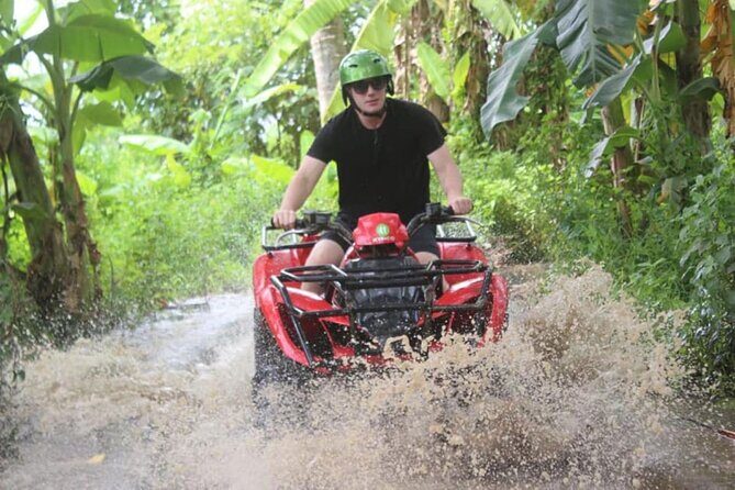 Bali ATV Quad Bike Monkey Forest Jungle Swing with Lunch - A Deeper Look at the Tour