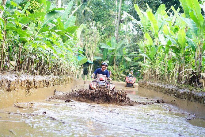 Bali ATV Quad Bike Single with Waterfall and Gorilla Cave+ Lunch - Why This ATV Tour Stands Out