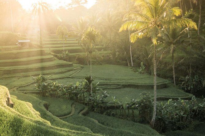 Bali ATV Quad Bike with Kintamani Volcano and Ubud Tour - FAQs
