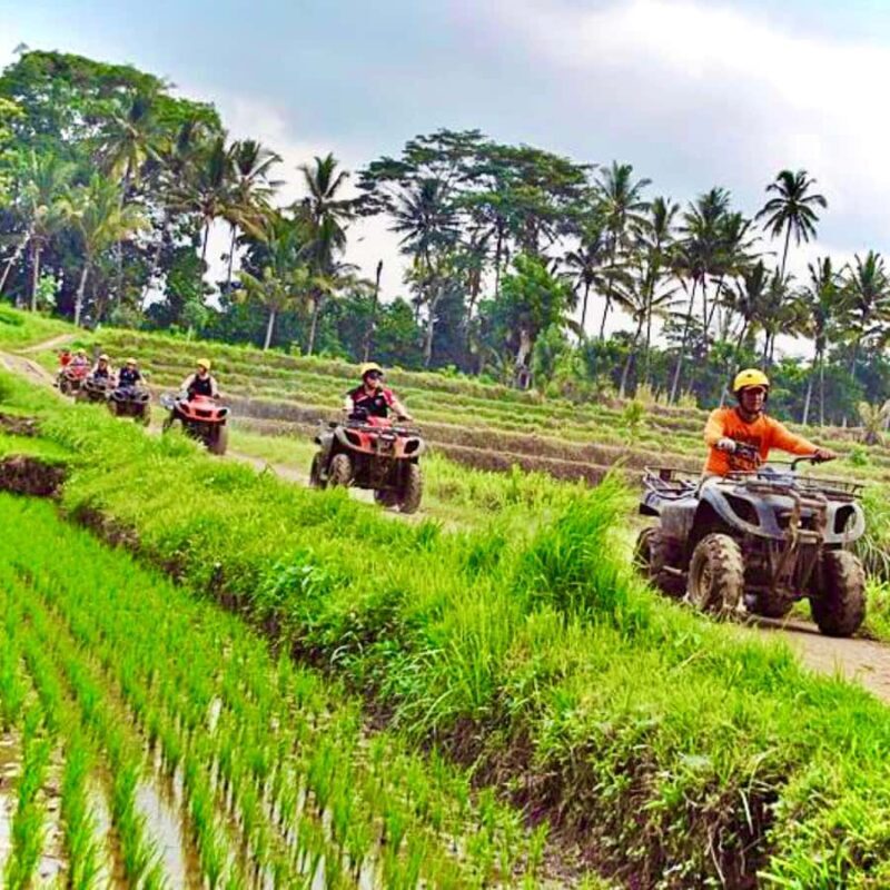 Bali: ATV Quad Biking and Water Rafting Adventure Tour - A Final Word on the Experience