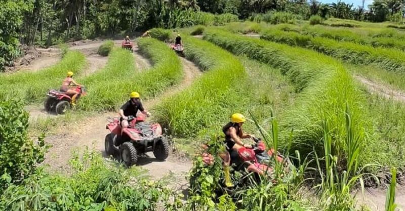 Bali: ATV Ride Adventure with track river bank, dense forest - Key Points