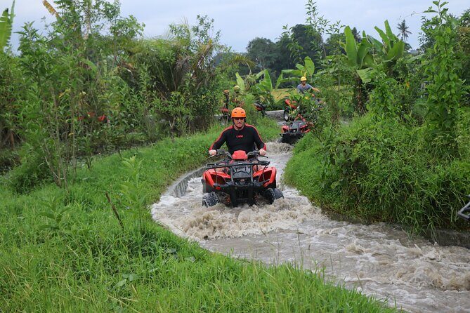 Bali ATV Ride Quad Bike Adventure - Key Points