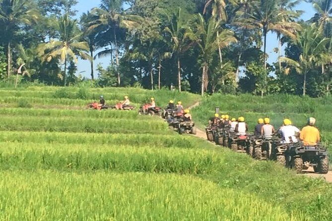 Bali ATV Ride Ubud Jungle Track - The Itinerary and What You’ll Experience