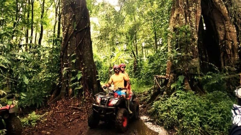 Bali: ATV Ride with Waterfall and Jungle Trails - Key Points