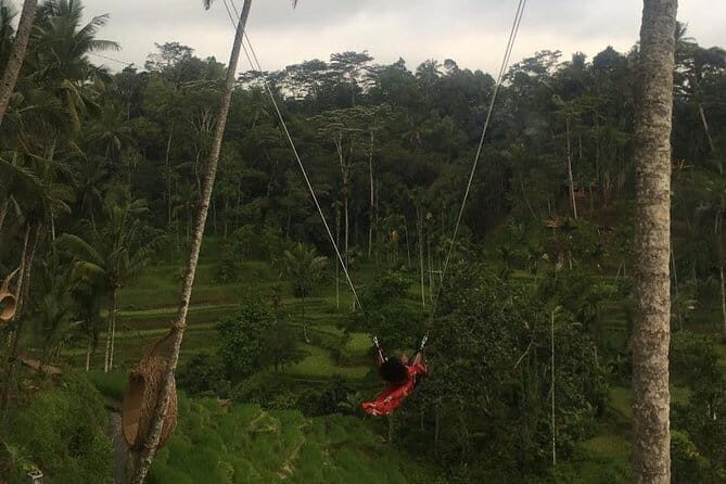 Bali ATV with Swing - Key Points