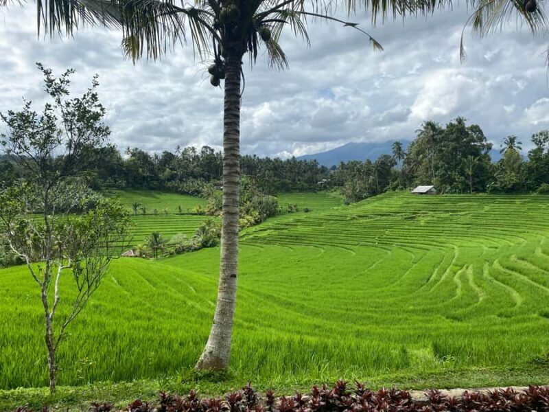 Bali : Authentic Balinese Local Life Tour - Key Points