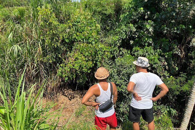 Bali Authentic Experience - Value and Practical Considerations