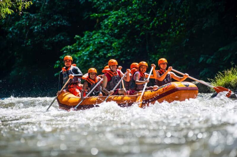 Bali: Ayung River Guided Rafting Adventure with Lunch - Key Points