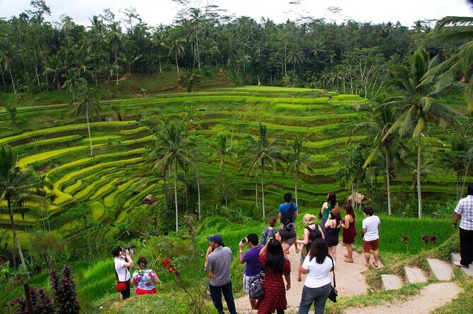 Bali Ayung River Rafting and Kintamani Volcano View Tour - Exploring the Itinerary in Detail