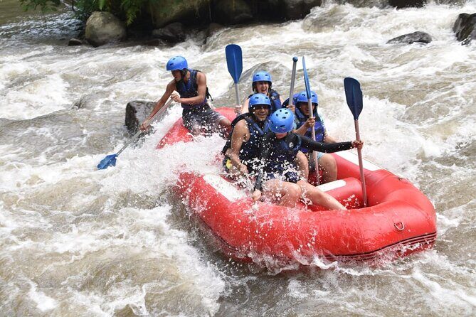 Bali Ayung River Rafting and Spa Packages - Who Would Enjoy This Tour Most?