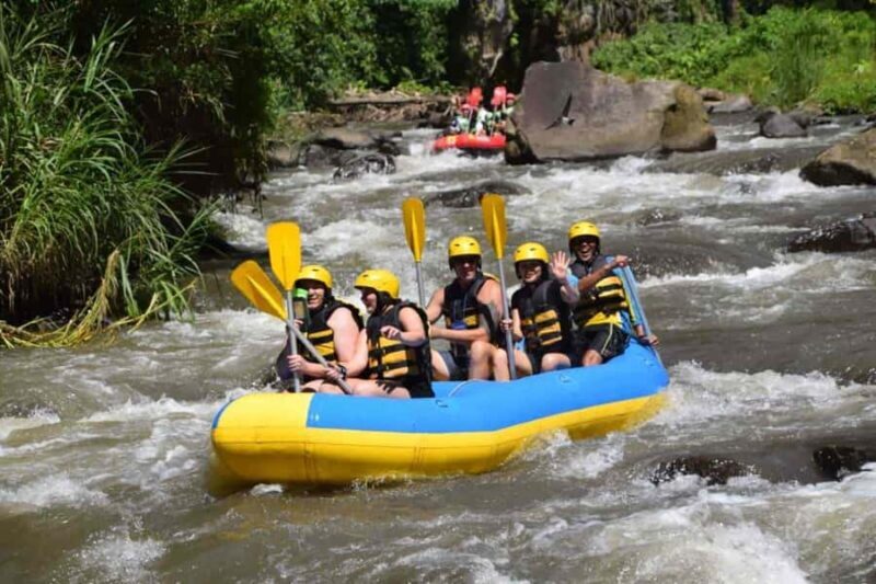 Bali: Ayung River Rafting and Swing Adventure with Lunch - Key Points