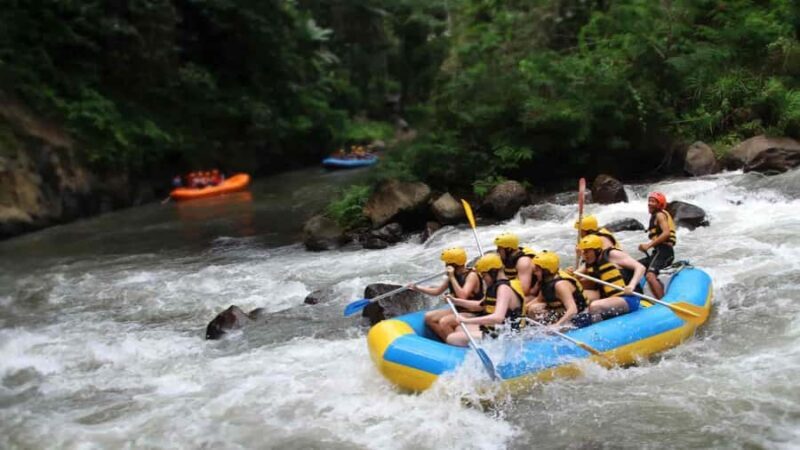 Bali: Ayung River Rafting and Swing Adventure with Lunch - Experience Breakdown: From Rapids to Forest Heights