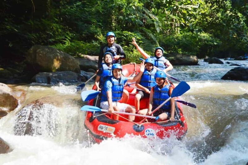 Bali: Ayung River Rafting and Swing Adventure with Lunch - Conclusions: Who Should Consider This Tour?