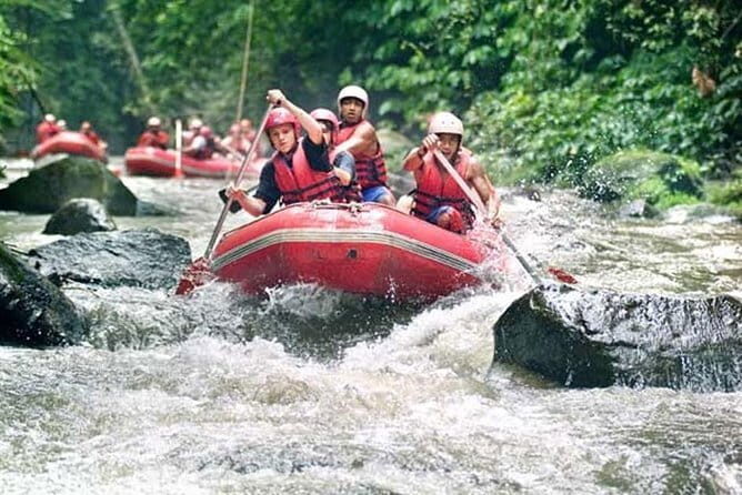 Bali Ayung River Rafting, Rice terraces and Ubud Monkey Forest Tour - Key Points