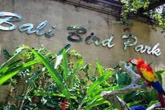 Bali Ayung River Rafting, Rice terraces and Ubud Monkey Forest Tour - Final Thoughts