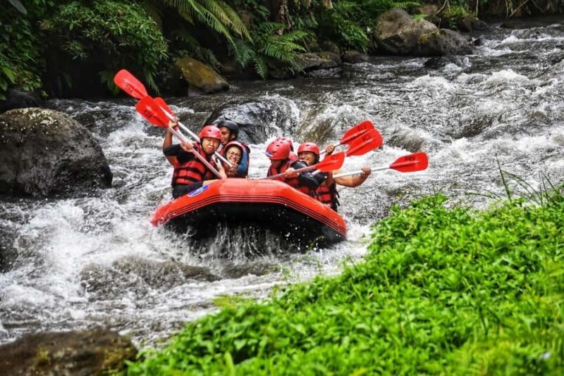 Bali: Ayung River Rafting, Spice Garden & Tanah Lot Tour - Key Points