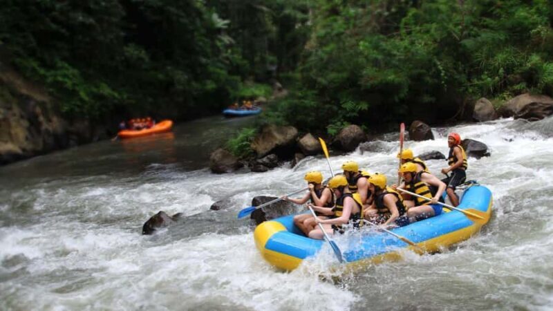 Bali: Ayung River White Water Rafting Adventure - The Value of the Experience