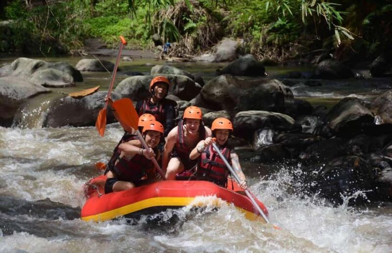 Bali: Ayung River White Water Rafting with Buffet Lunch - Who Will Love This Tour?