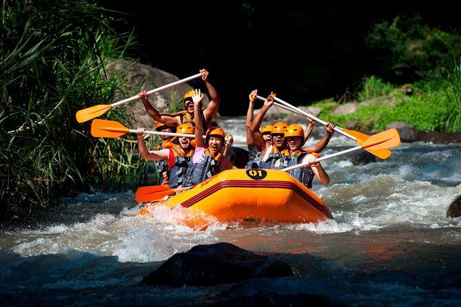 Bali Ayung River White Water Rafting with Transport - Key Points